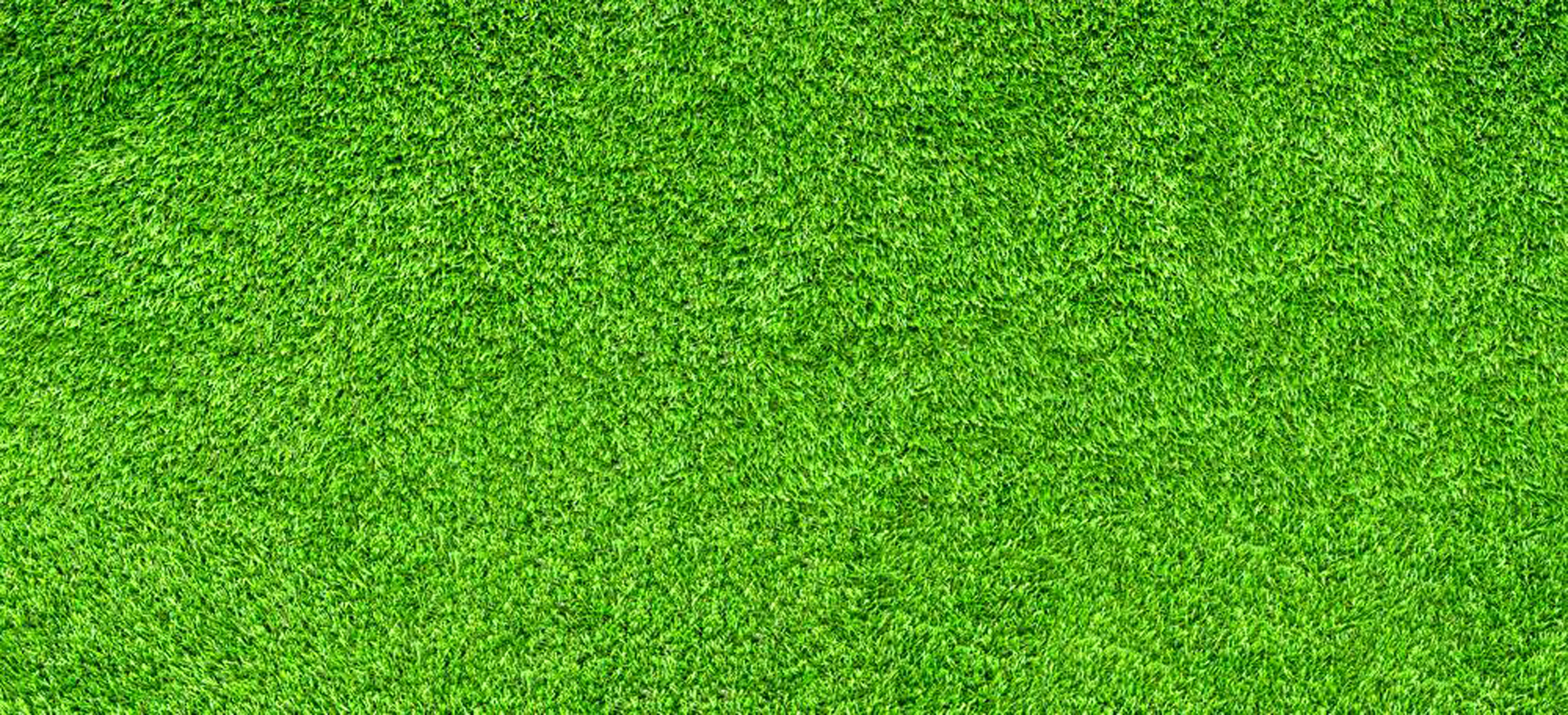 🔥 Downloading... Green Grass Field Texture Editing Background HD Images ...