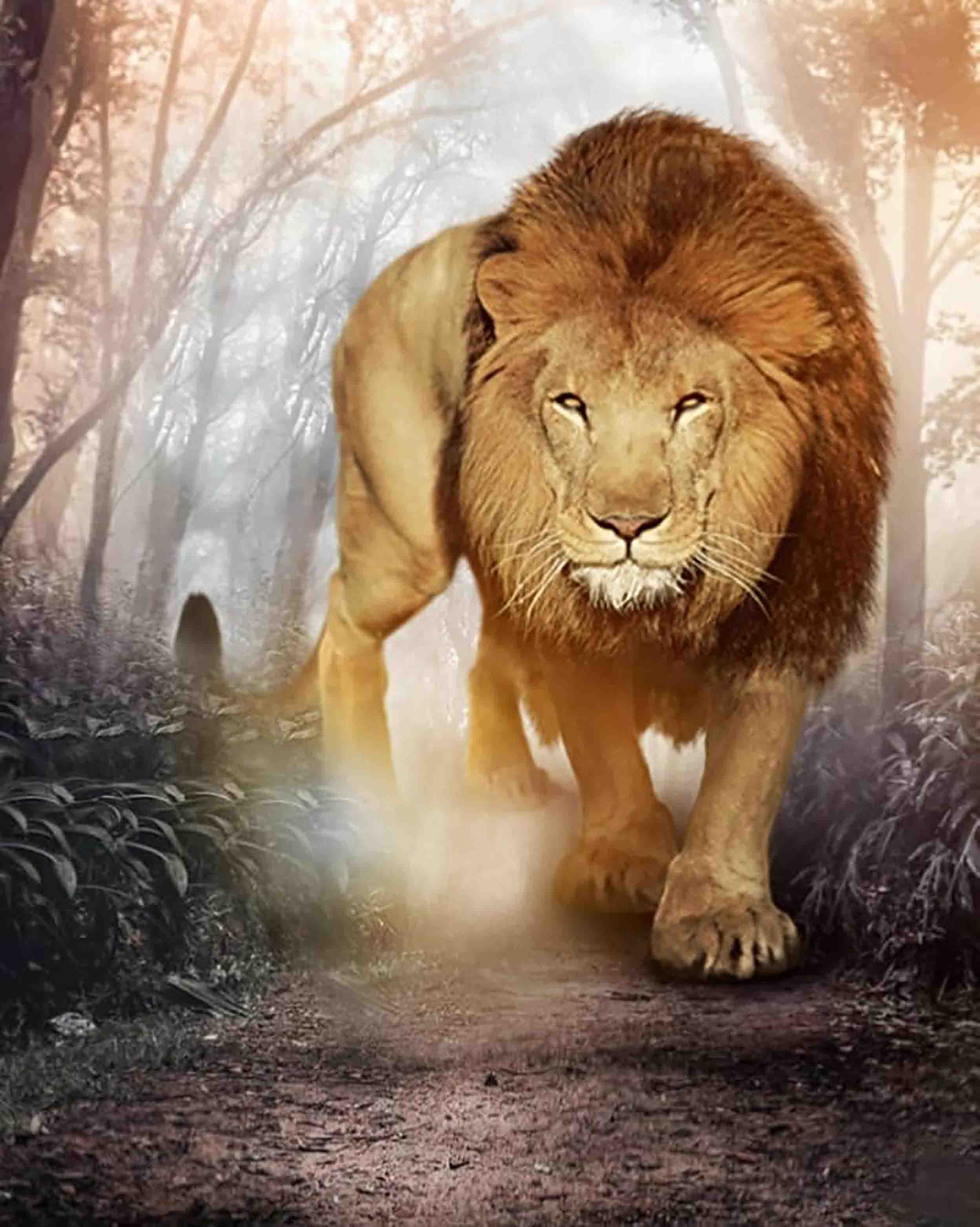🔥 Lion Editing CB Background Download | CBEditz