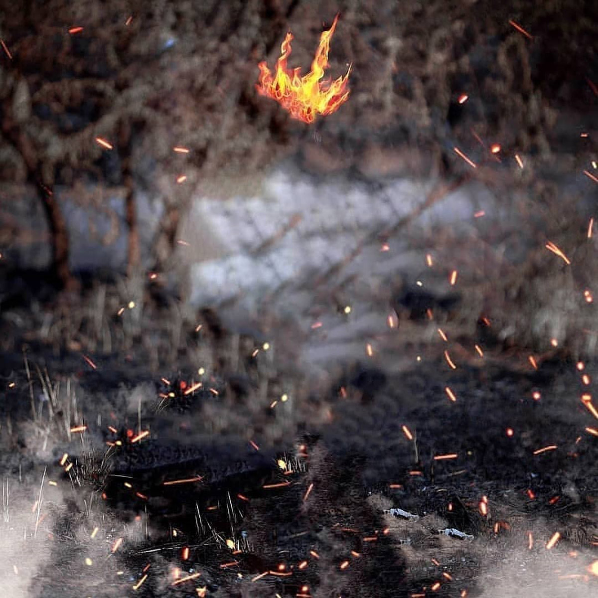 🔥 Fire Burning King Picsart Background Download | CBEditz