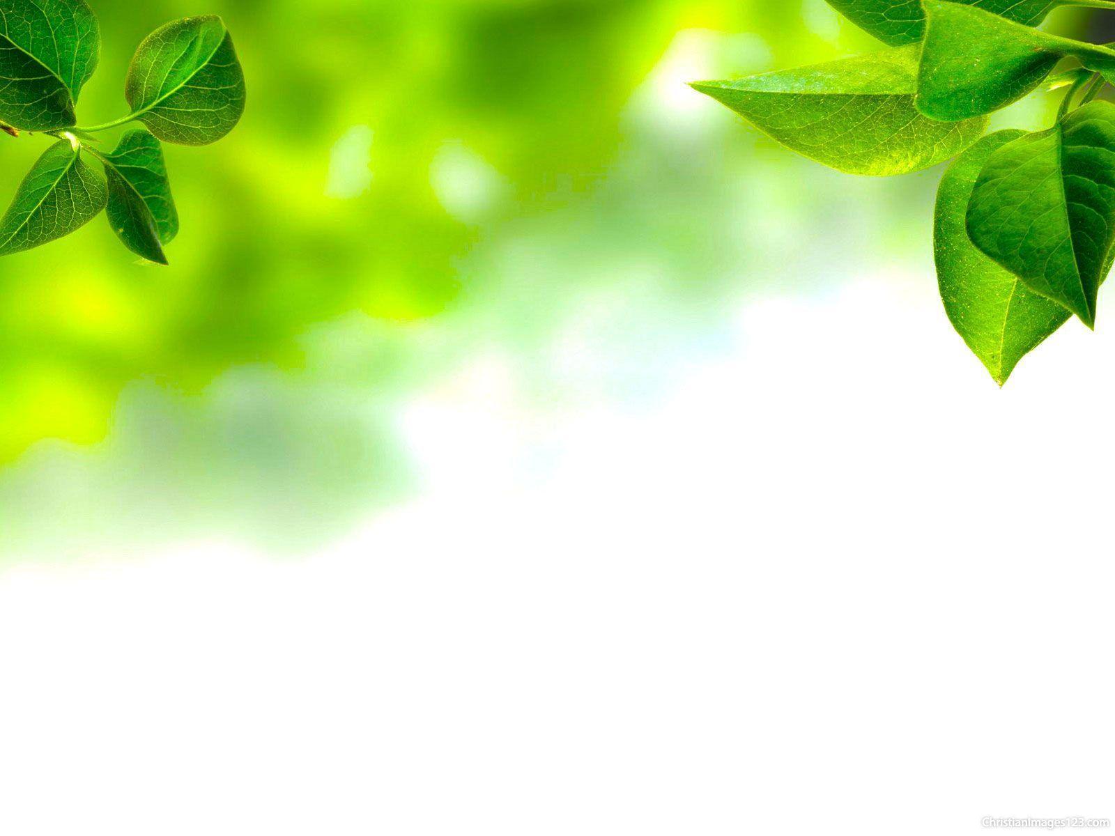 🔥 Natural PowerPoint PPT Background | CBEditz