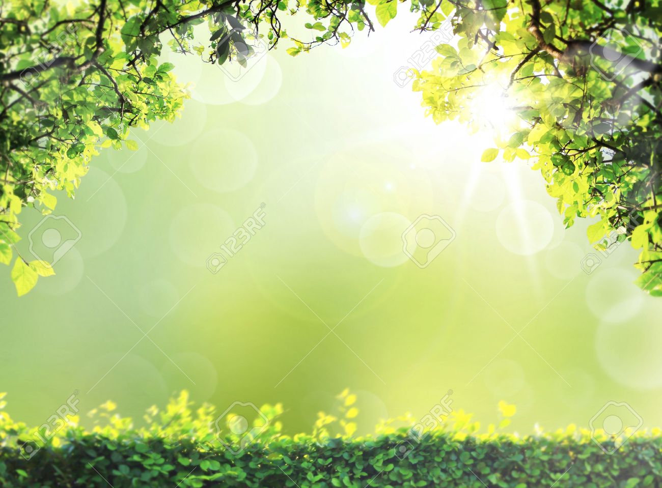 🔥 Natural PowerPoint PPT Background | CBEditz