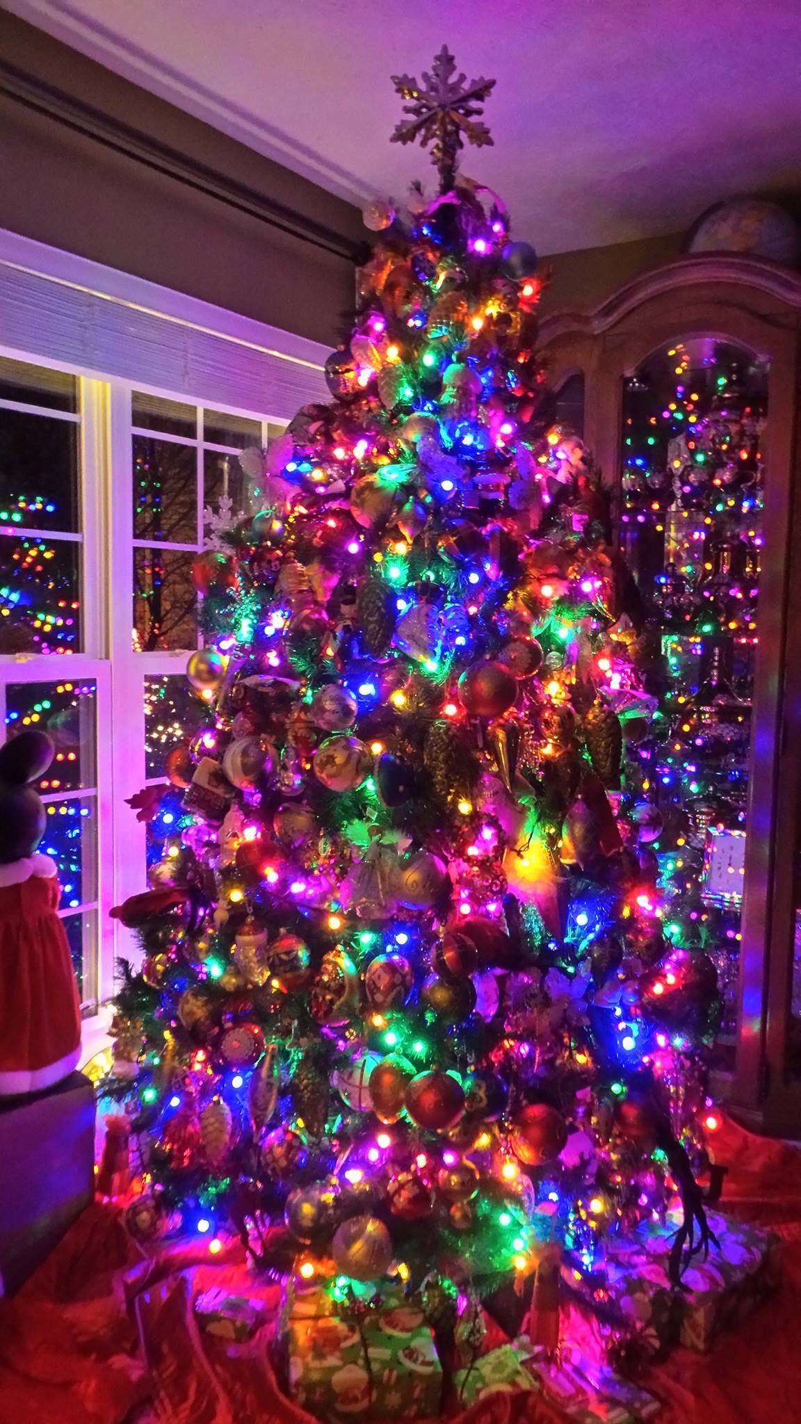 🔥 Christmas Tree Light Wallpaper Background HD Download | CBEditz