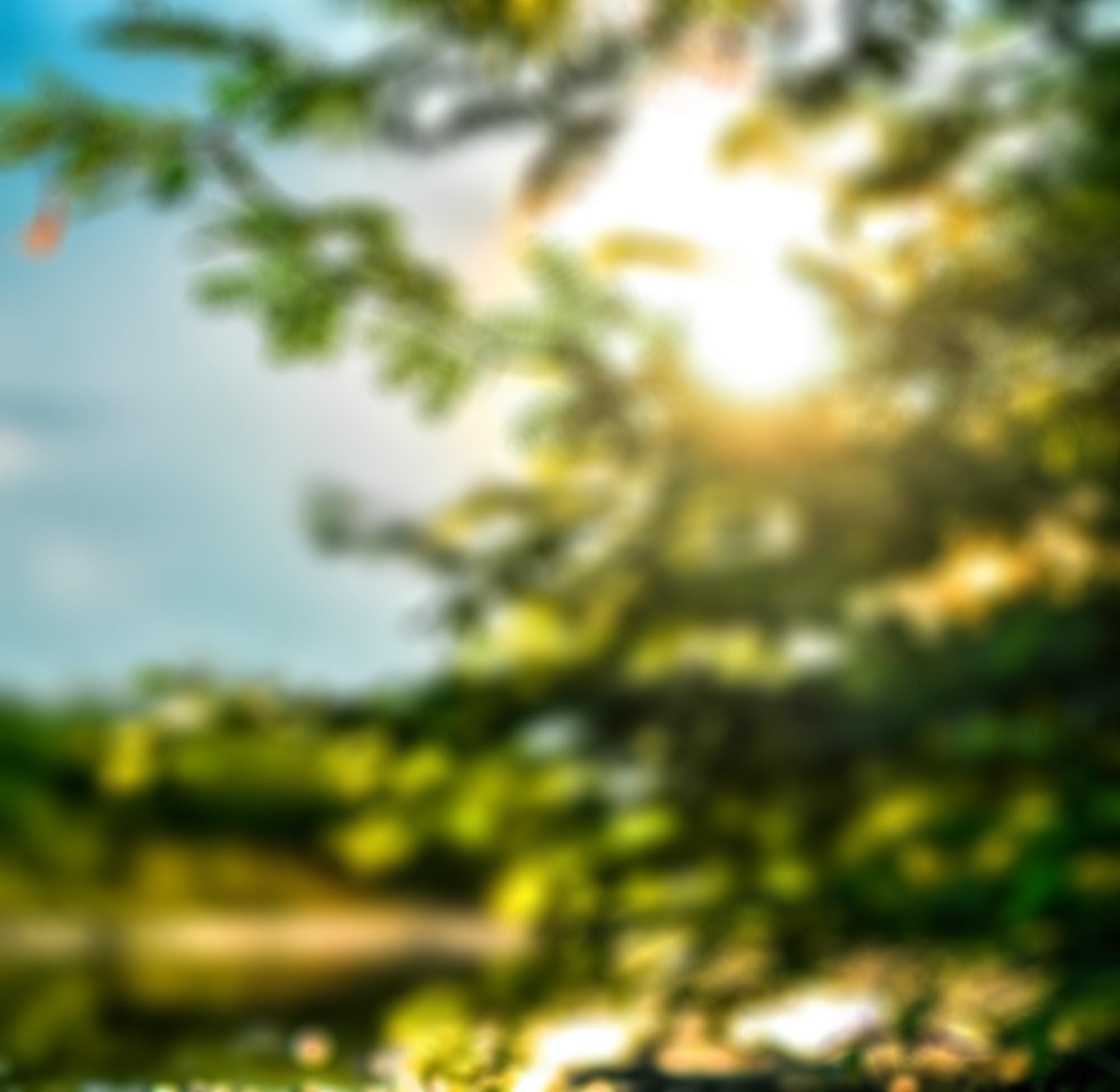 🔥 Tree Sunset Picsart Editing Background HD Download | CBEditz