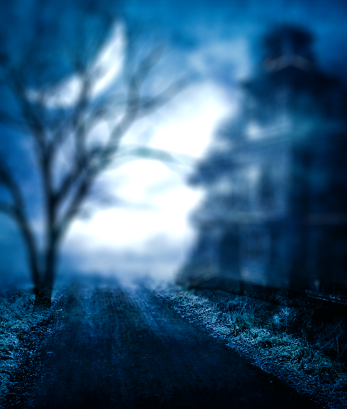 🔥 Dark Night Tree Building Snapseed Background HD Download | CBEditz