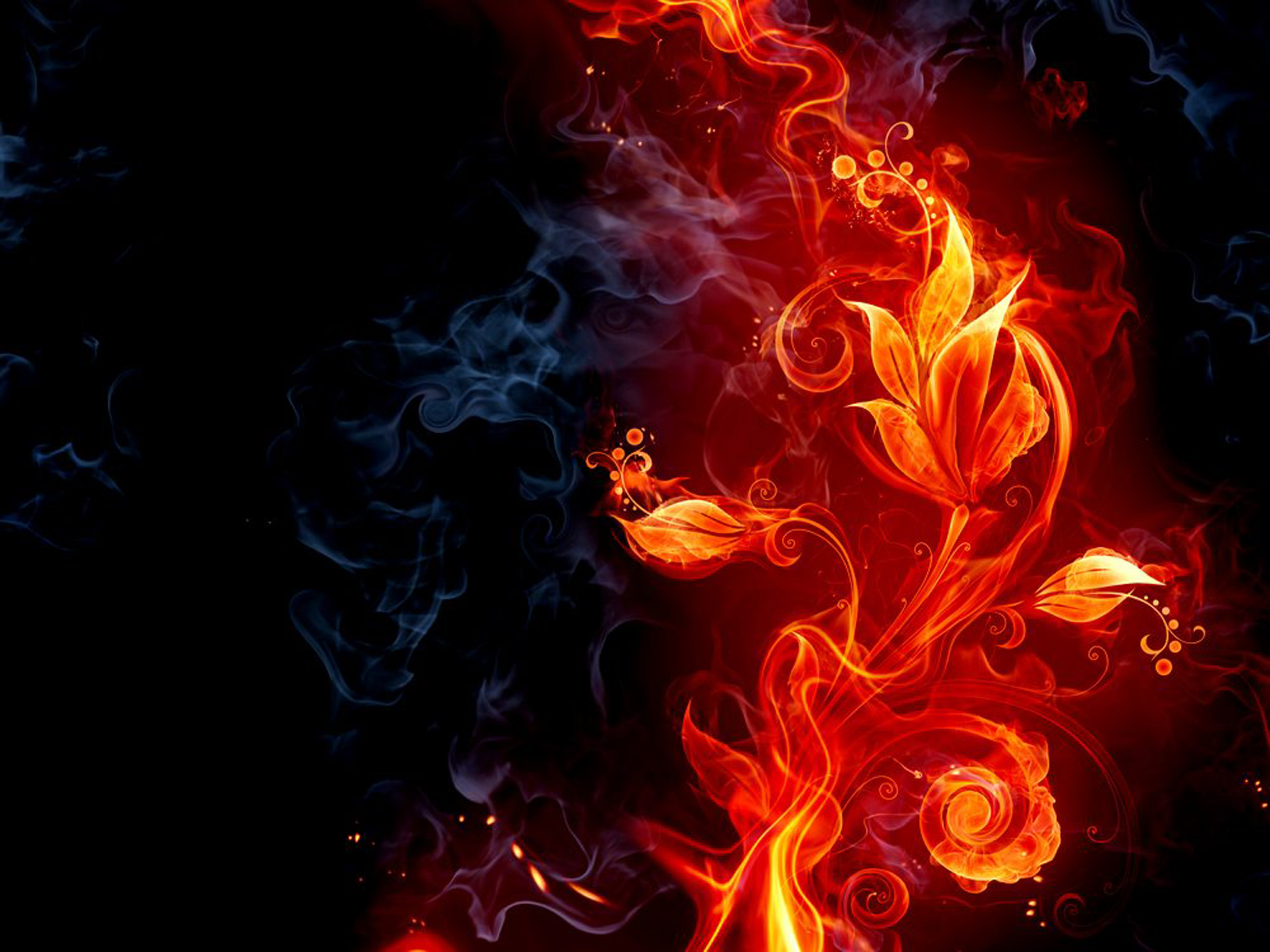 🔥 Fire Flowers Background HD Images Download | CBEditz