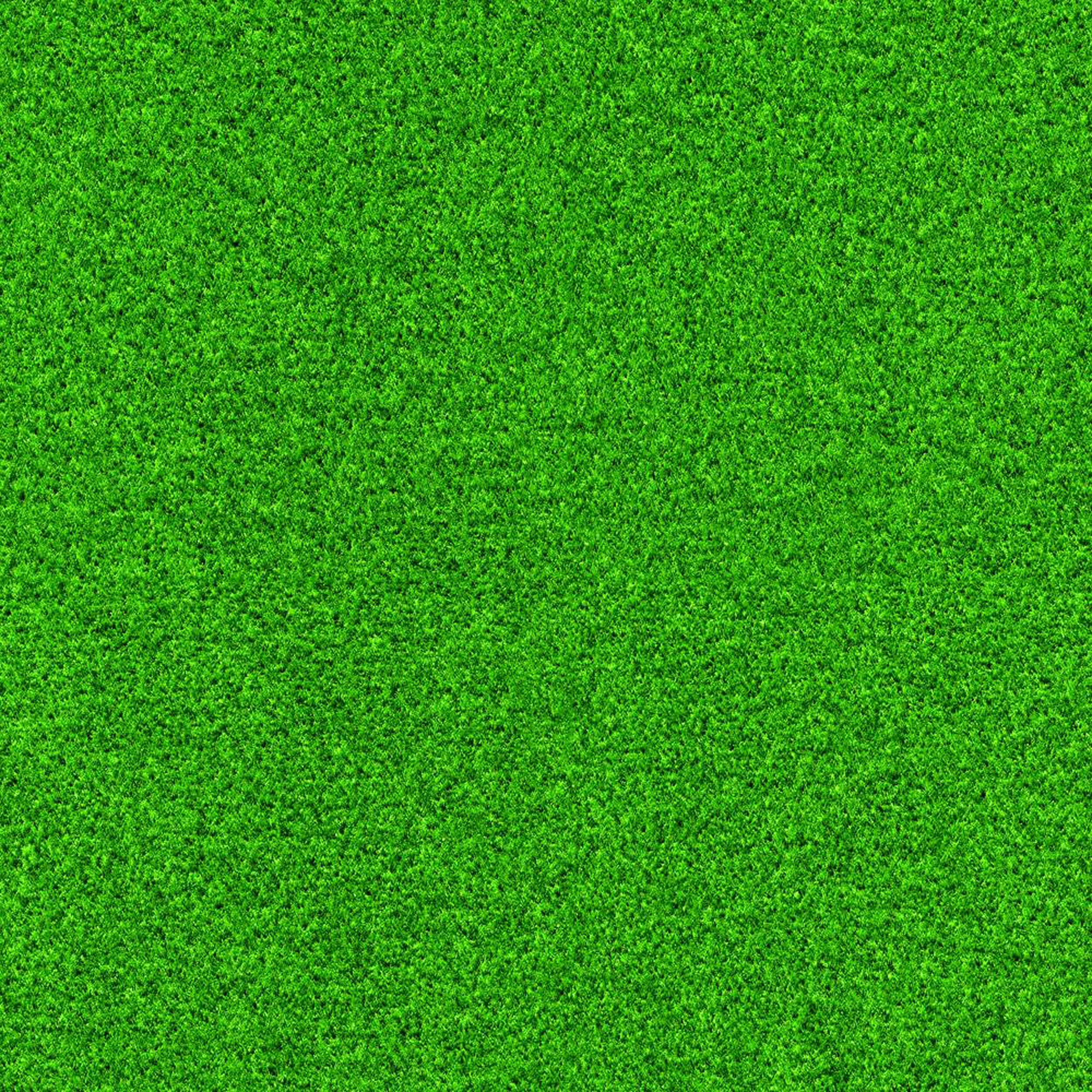🔥 Green Real Grass Field Editing Background HD Images Free | CBEditz