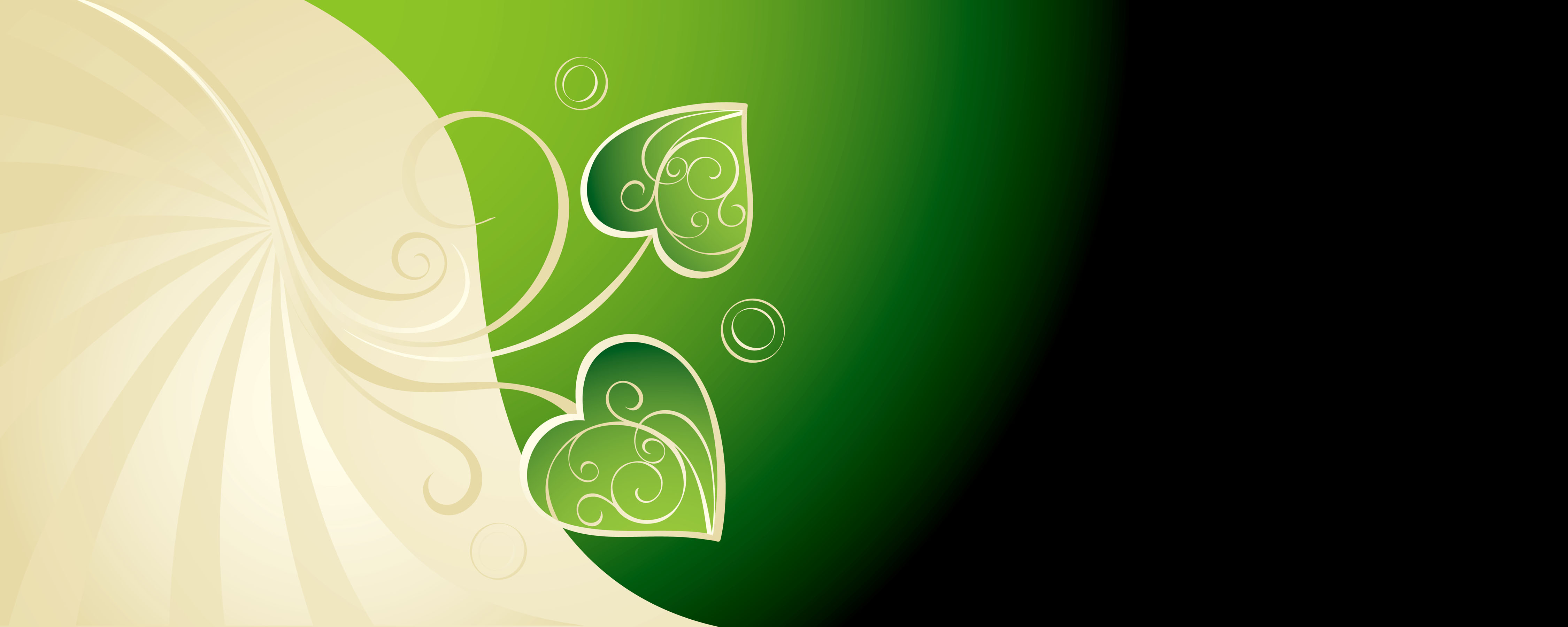 🔥 Green Wedding Album Backgrounds HD Wallpapers | CBEditz