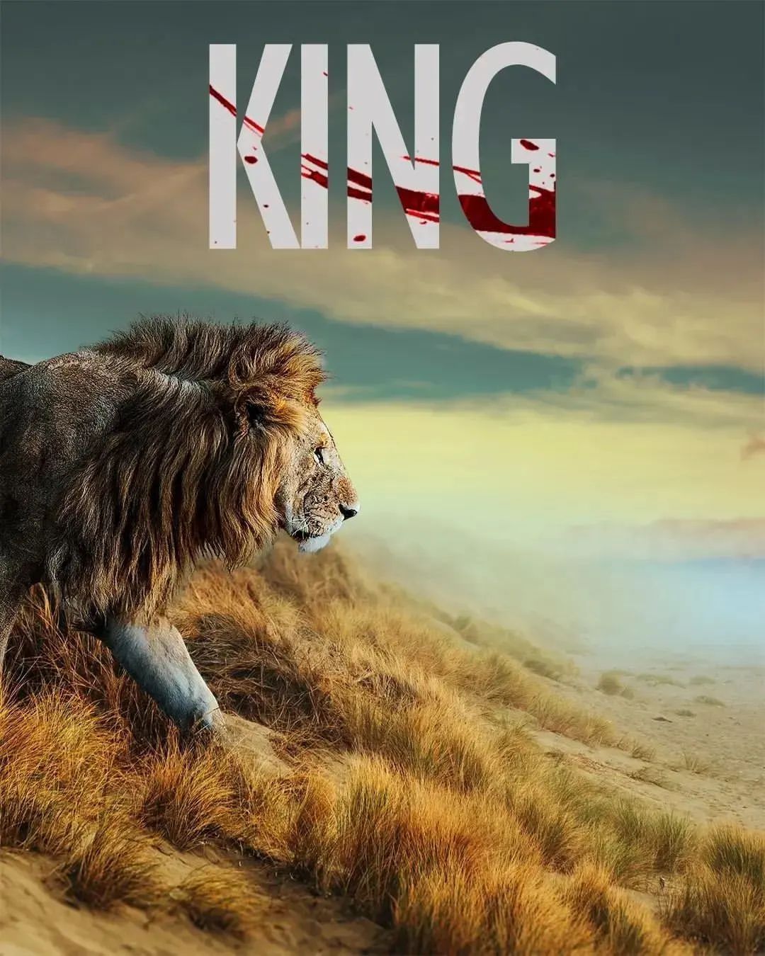 🔥 King Lion Editing Background HD Download | CBEditz
