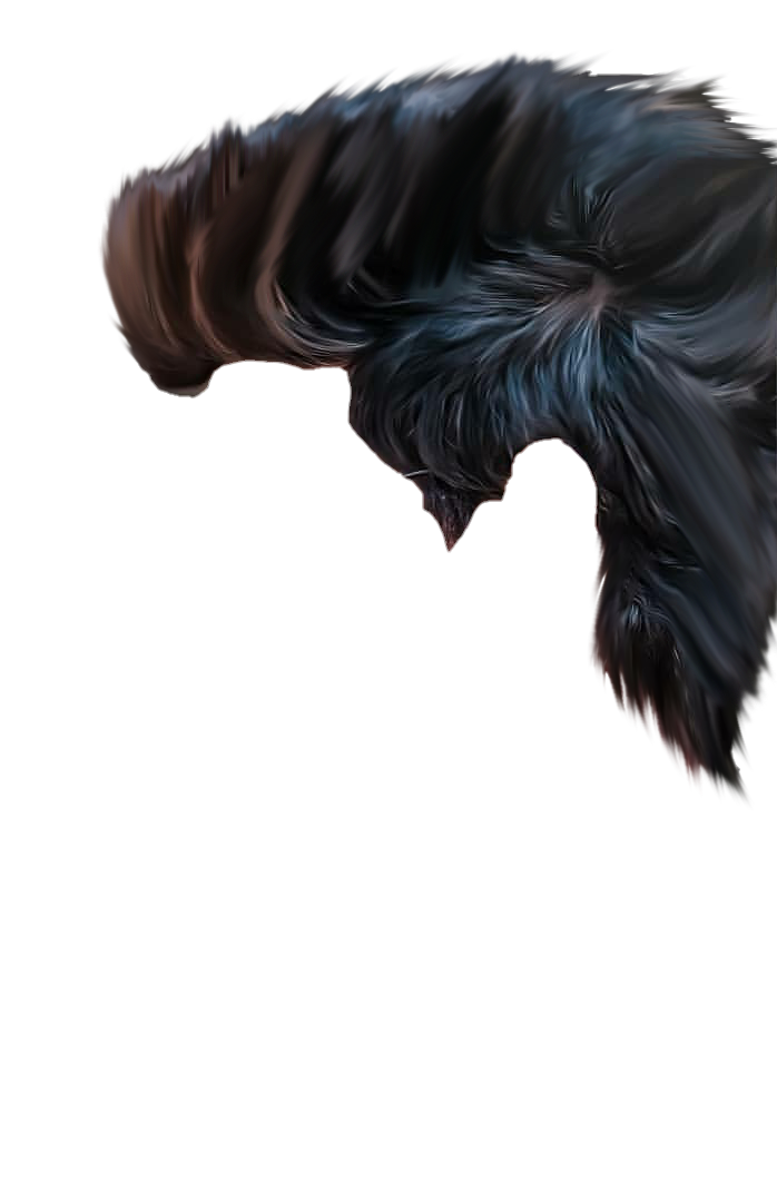 🔥 Side View Hair Transparent PNG Images Download | CBEditz