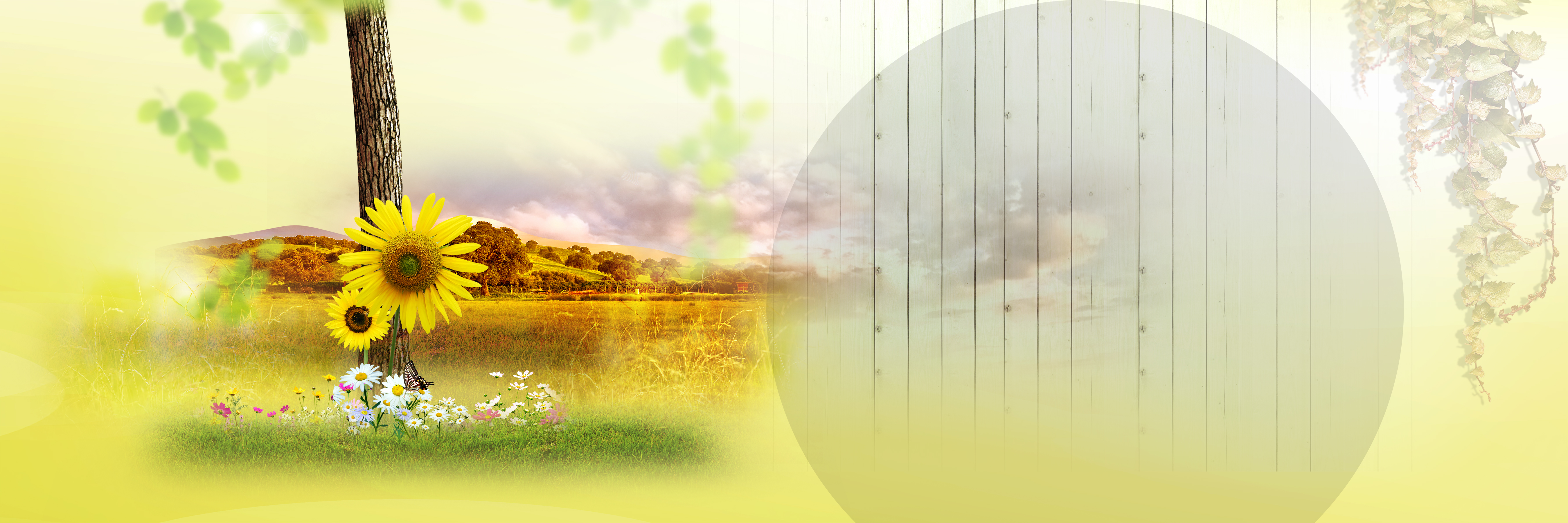 🔥 Sunflower Wedding Album Backgrounds HD Wallpapers | CBEditz